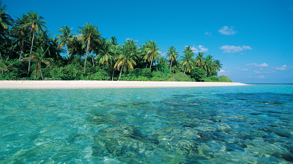 Experience India, Sri Lanka & The Maldives 20th July - 12th August 2025 | Plotpackers