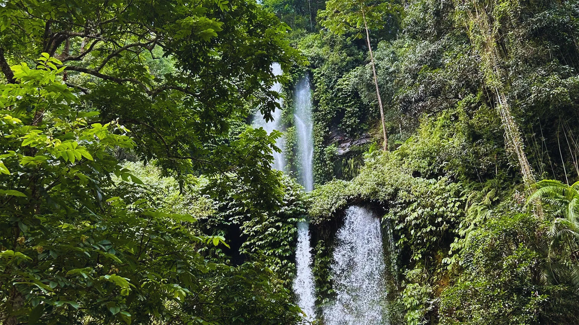 Indonesia | Plotpackers