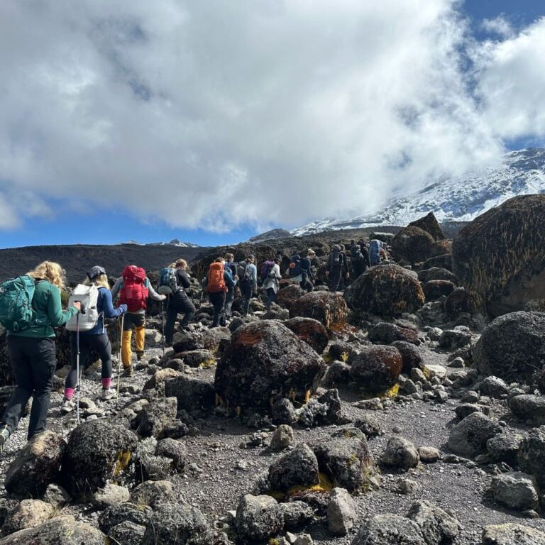 Climb Kilimanjaro: Trek to the Roof of Africa 22nd - 31st August 2026 | Plotpackers