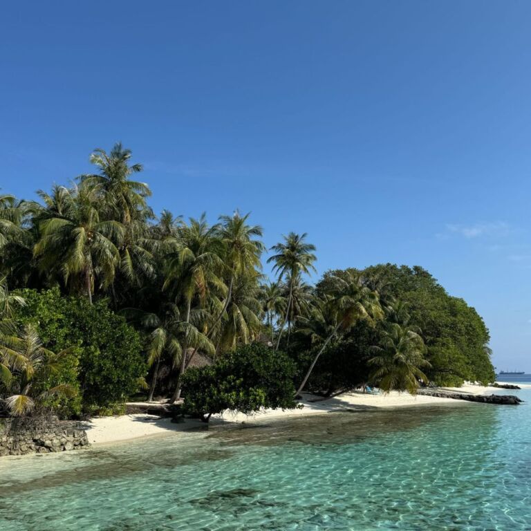 Turquoise Tranquility: Maldives Budget Adventure with @fortheplotduo 28th November - 4th ...
