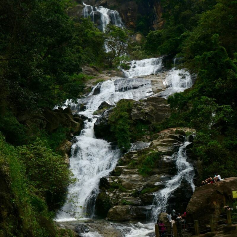 Sri Lanka | Plotpackers