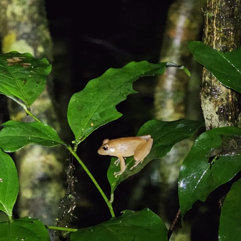 Costa Rica & Panama | Plotpackers